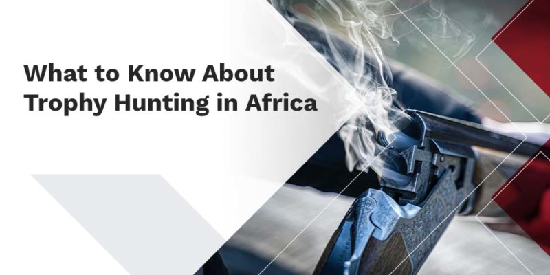 What to Know About Trophy Hunting in Africa